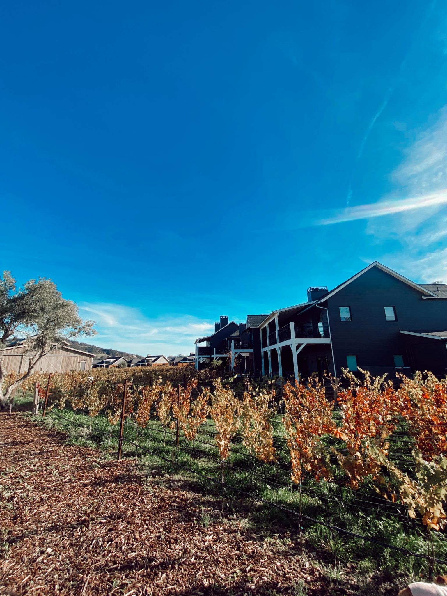 The Ultimate Guide to the Four Seasons Napa Valley - My Stiletto Life ...