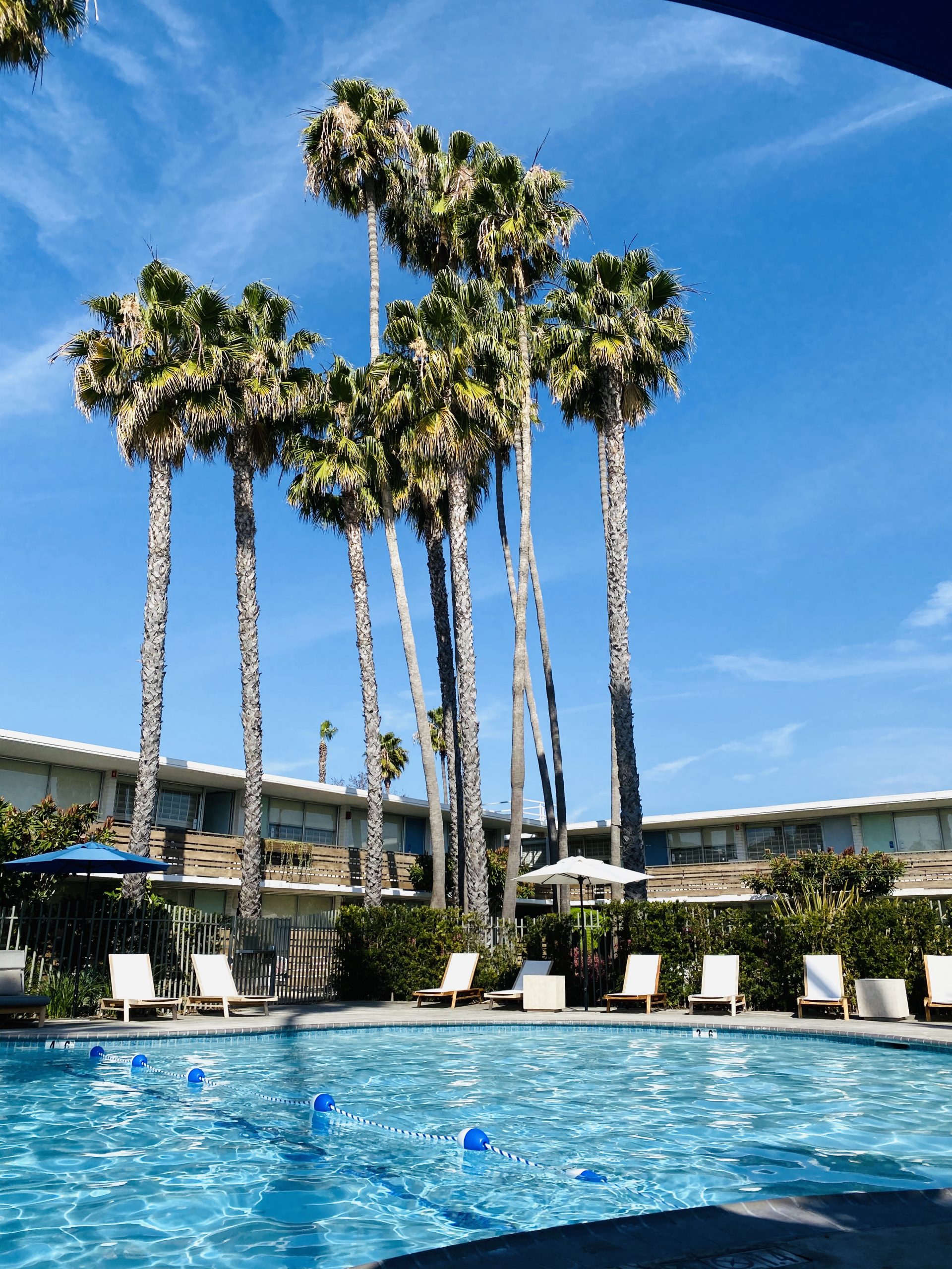 What to Do in Santa Barbara in the Winter: the Ultimate Guide - My ...